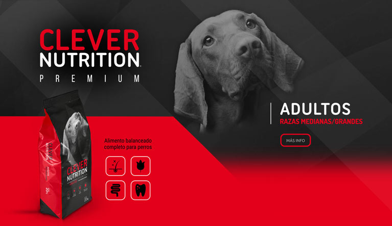 Clever Nutrition | Nutrición Animal