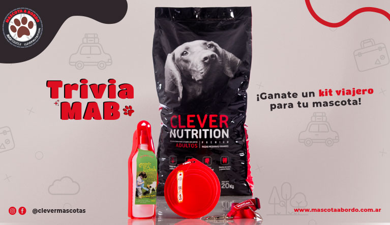 Clever Nutrition | Nutrición Animal